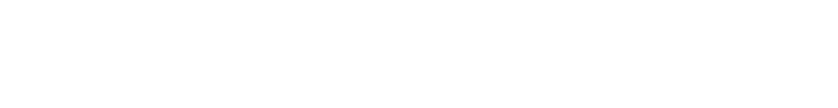BIGOD Token | Invest in 250g Gold-Backed RWA Token on BNB Chain